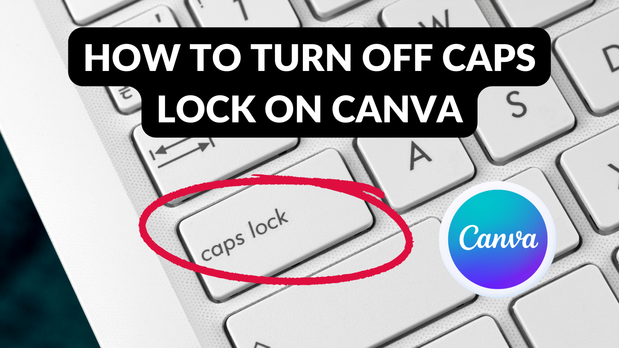 How To Hide Layer In Canva Template Fonts